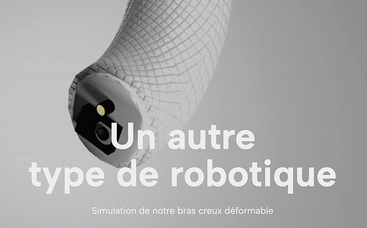 My year at the studio by Compliance Robotics | Inria Startup-Studio